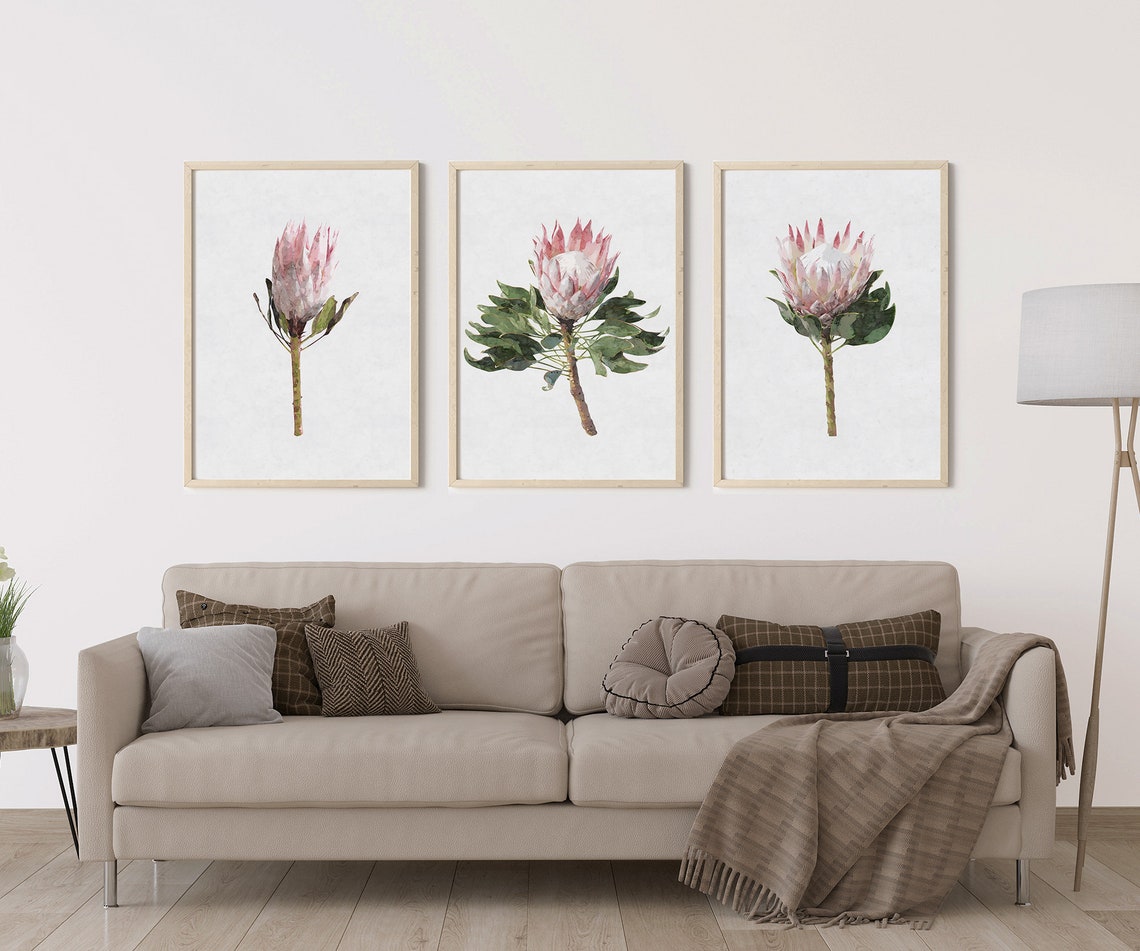 Watercolor Protea Wall Art Set King Protea Art Print Blush - Etsy