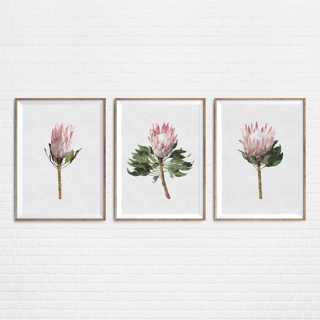 Watercolor Protea Wall Art Set King Protea Art Print Blush Pink Floral Home Decor Gift Protea ...