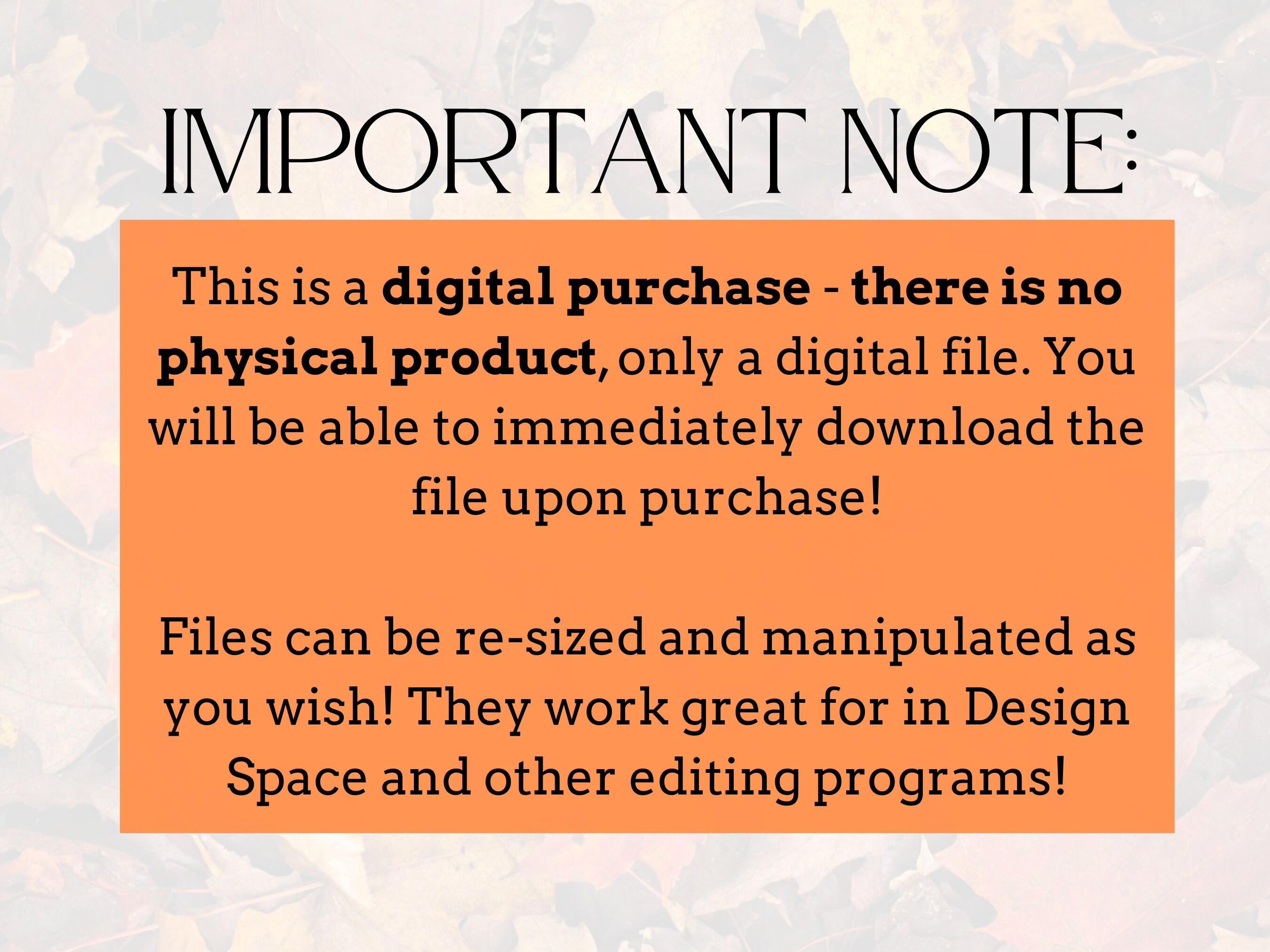 You're Bootiful SVG File & PNG File for Cricut Now - Etsy