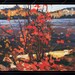 Tom Thomson - Lake and Red Tree - Etsy