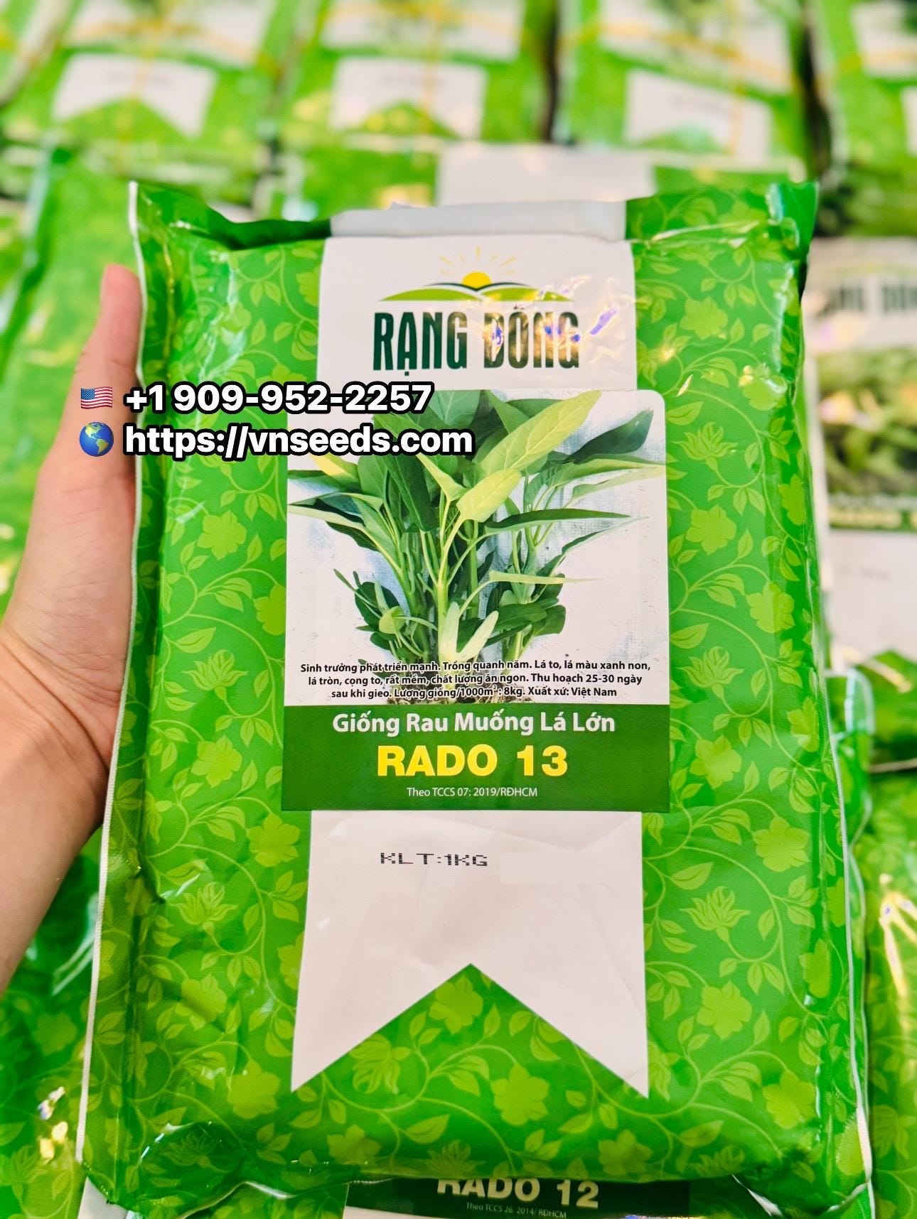 1000+ Water Spinach Seeds – Rau Muong La Lon Rado 13 – Kangkong Ong ...