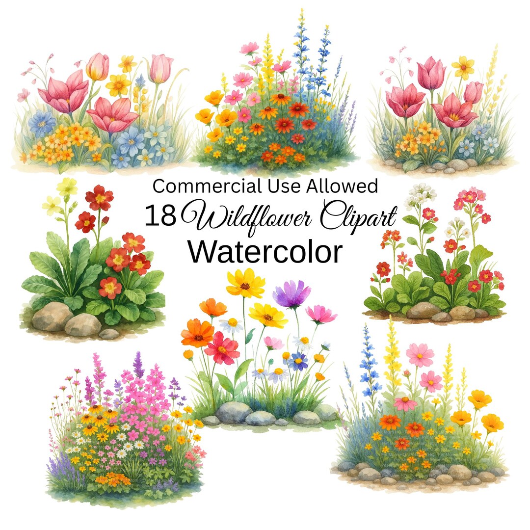 Watercolor Wildflower Clipart: 18 PNG Floral Art Images (digital ...
