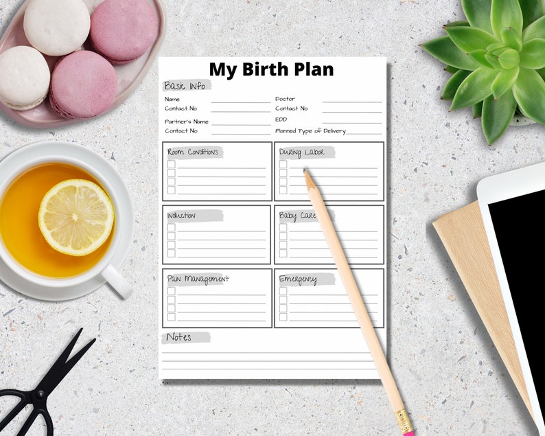 Printable Birth Plan Checklist Maternity Plan, Pregnancy Planner, Birth ...