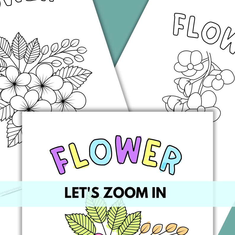 Printable Coloring Page Flower Coloring Sheet for Kids Activity Ideas ...