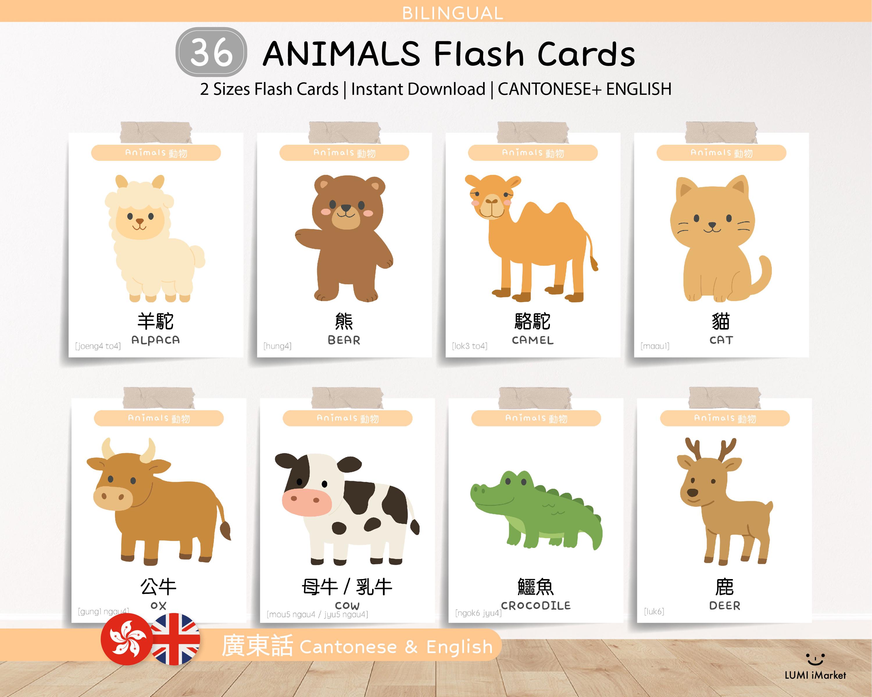 Cantonese English Animals Flashcards: Bilingual Learning, Montessori ...