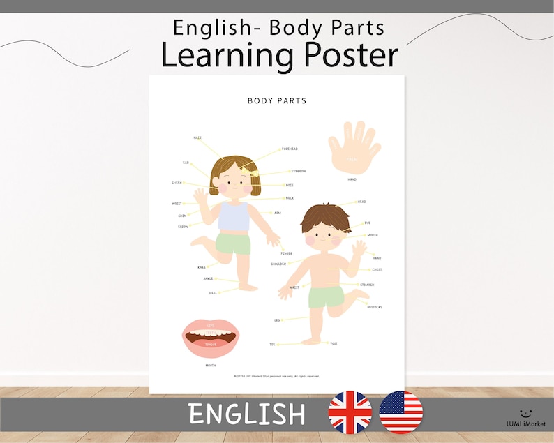Body Parts Learning Poster | My Body Poster | English Montessori ...