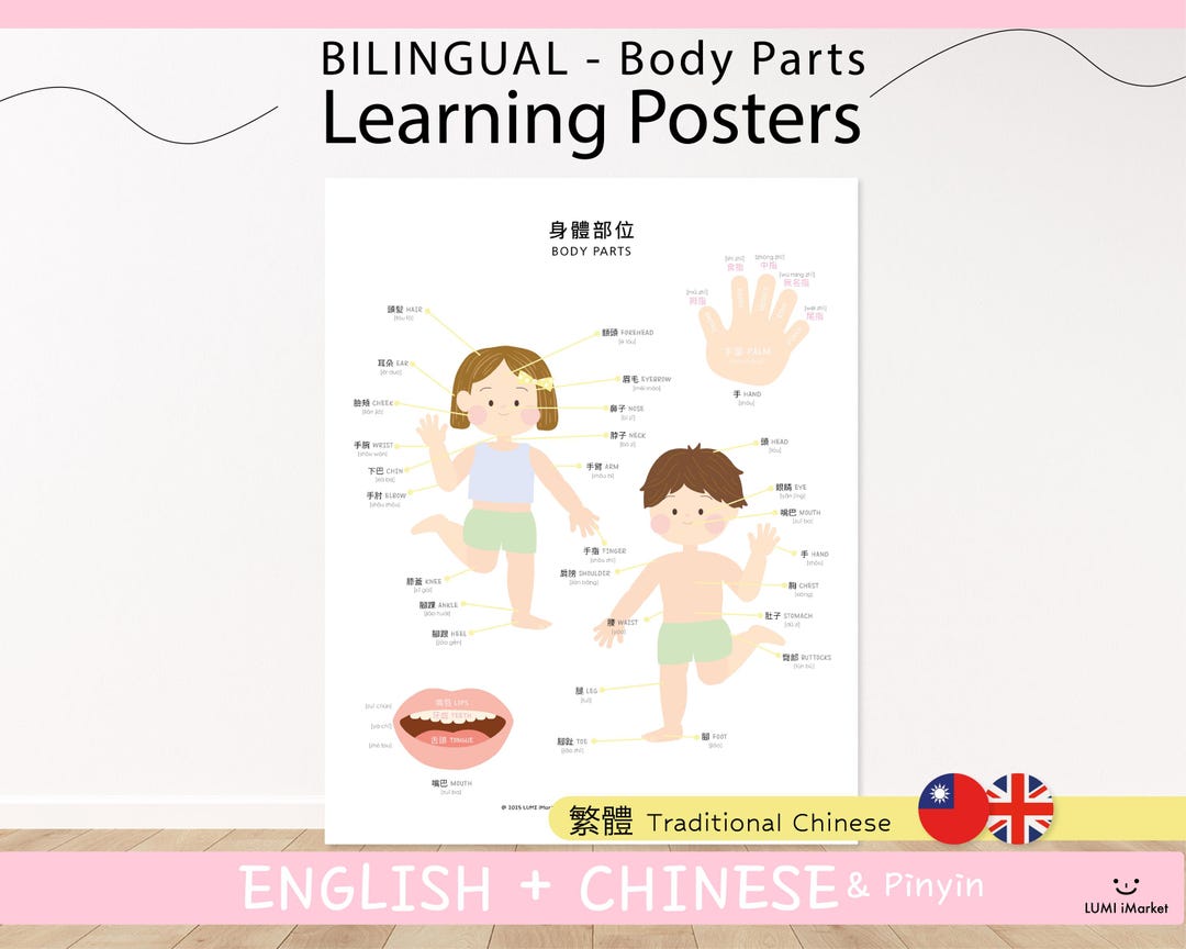 Bilingual Chinese English Body Parts Learning Poster | My Body Poster ...