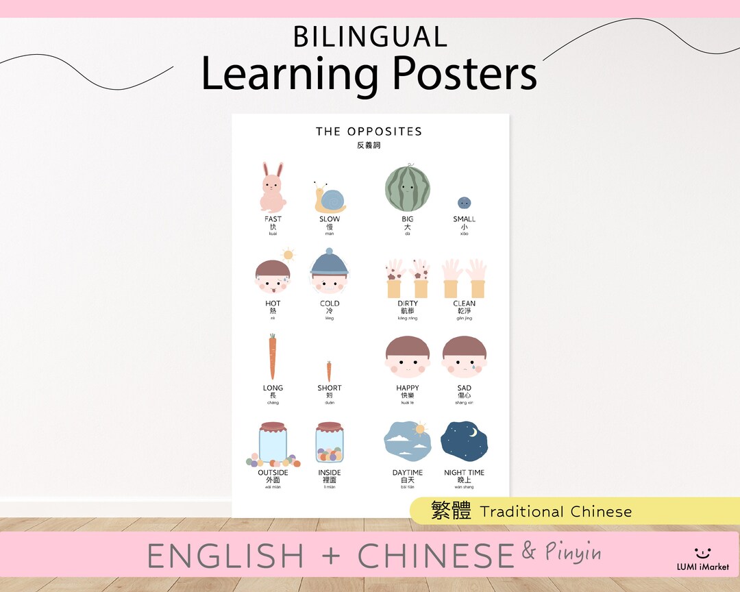 English Traditional Chinese Bilingual Educational Posters | Pinyin ...