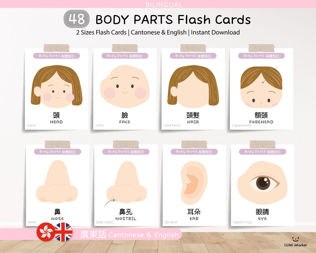 Bilingual Cantonese English Body Parts Flashcards | Bilingual Learning ...