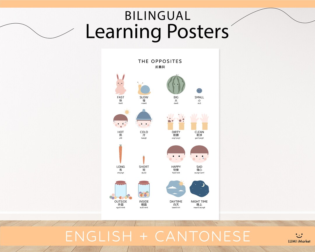 English Cantonese Bilingual Educational Posters | Opposite Words Vocabs ...