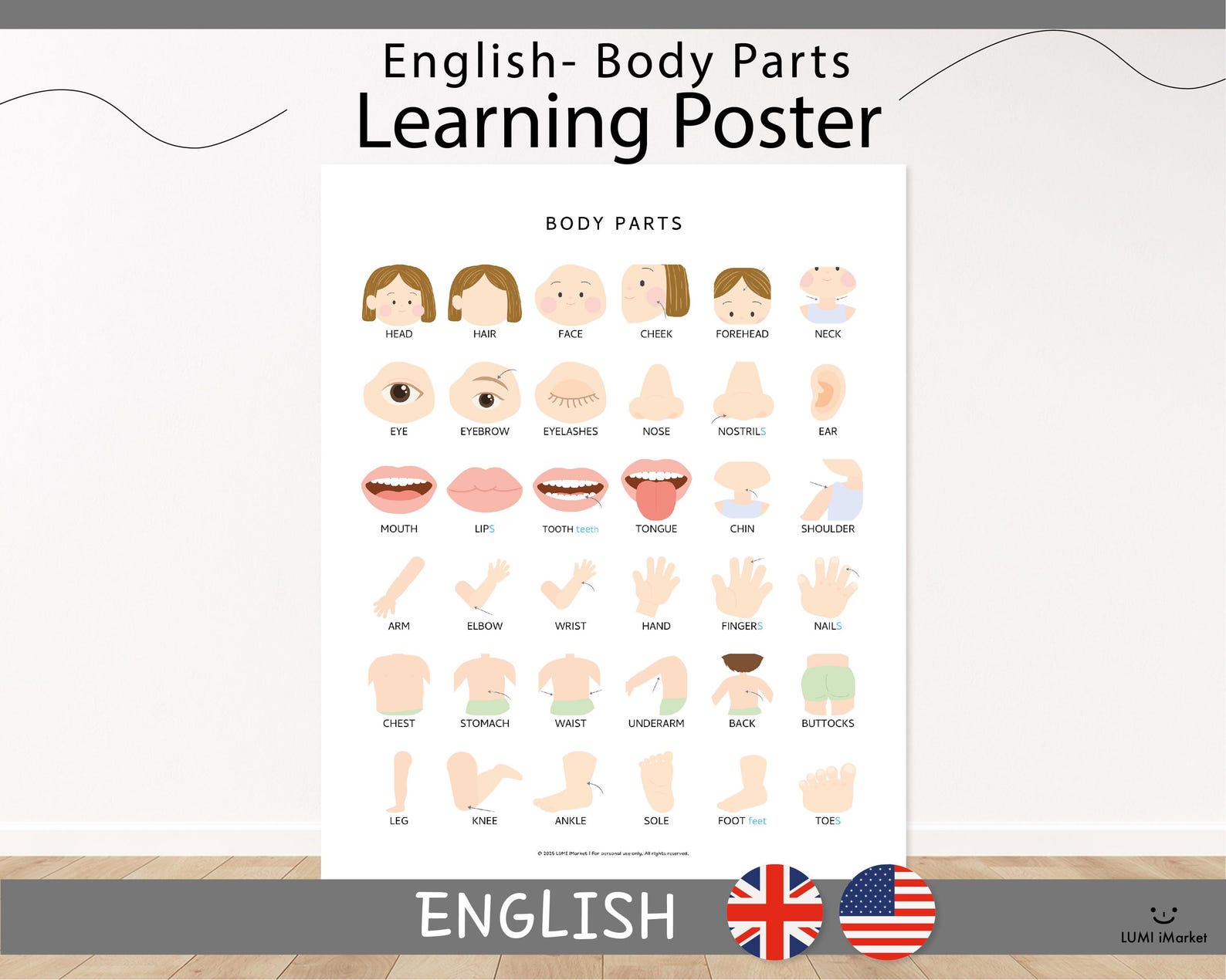 Body Parts Learning Poster Style B | My Body Poster | English ...