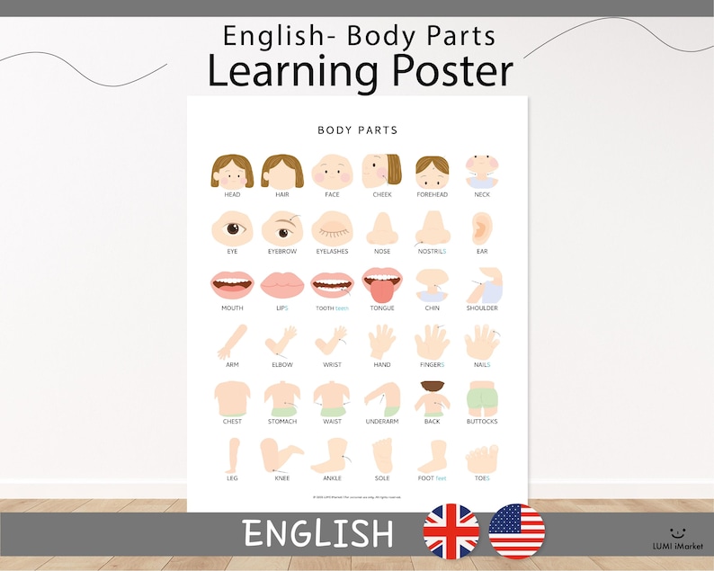 Body Parts Learning Poster Style B | My Body Poster | English ...