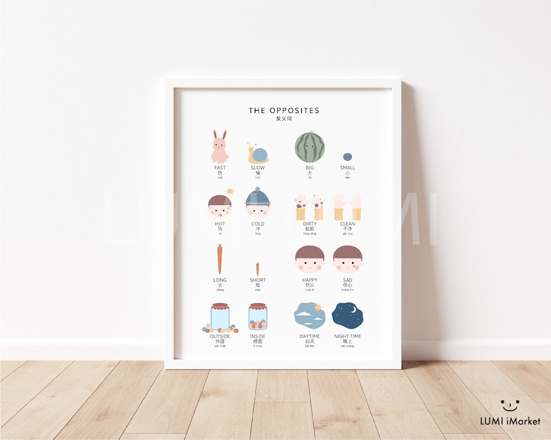 English Chinese Pinyin Bilingual Educational Posters | Opposite Words ...