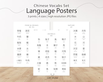 Chinese Numbers Learning Poster | Educational Poster | Language Prints ...