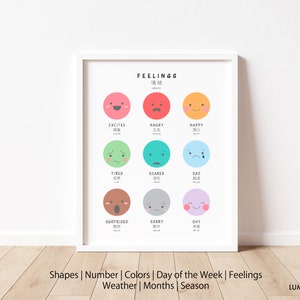 8 Bilingual English Chinese Pinyin Educational Posters | Set of 8 ...