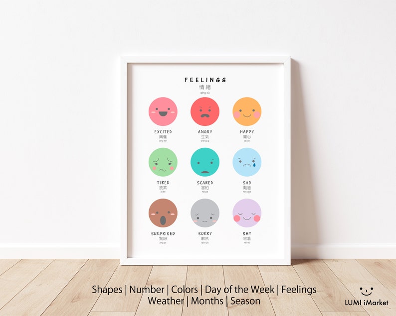 8 Bilingual English Chinese Pinyin Educational Posters | Set of 8 ...