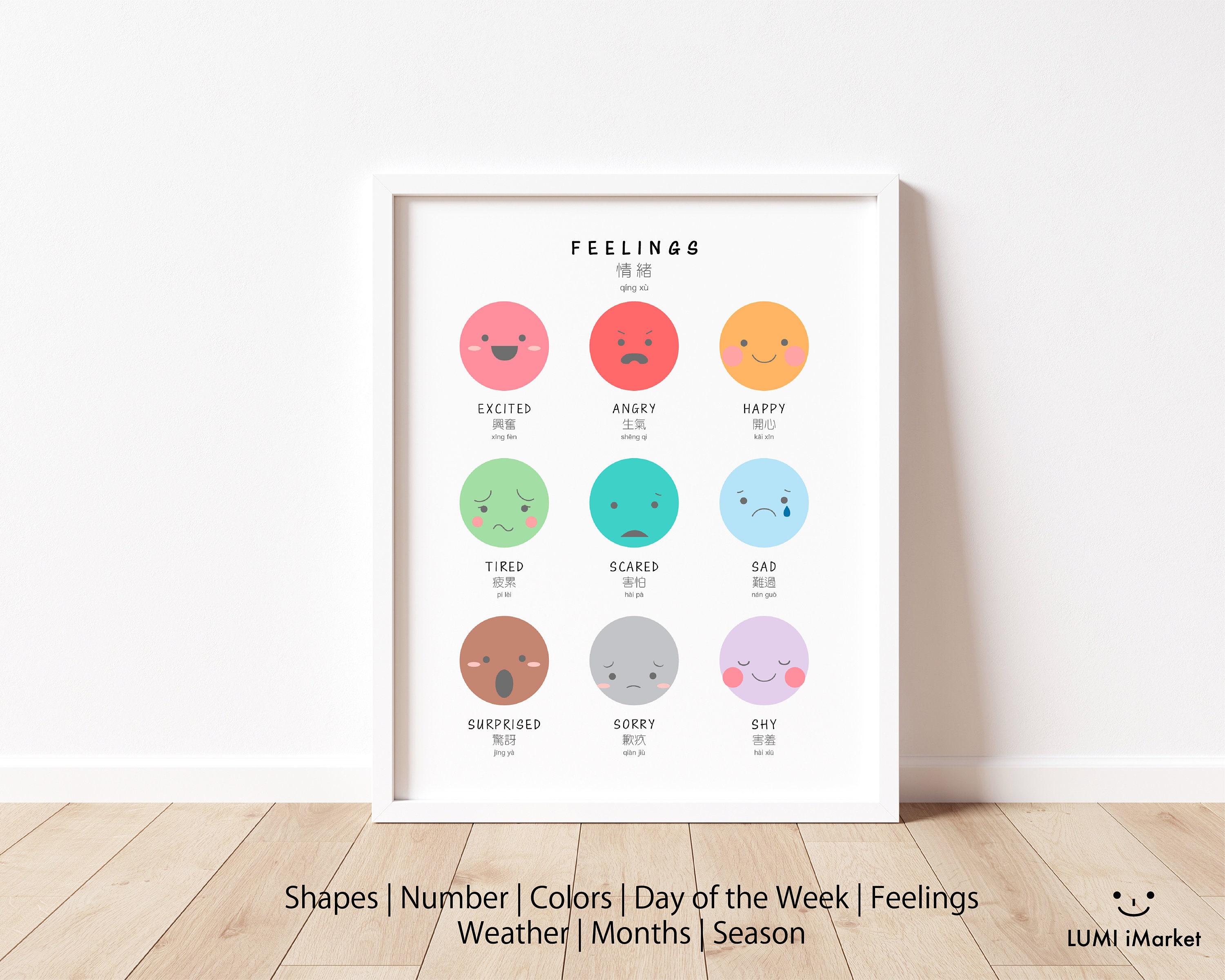 8 Bilingual English Chinese Pinyin Educational Posters | Set of 8 ...