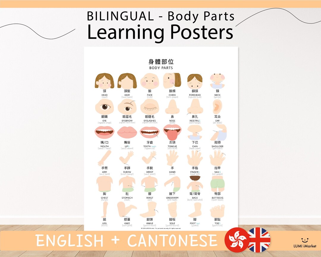 Bilingual Cantonese English Body Parts Learning Poster Style B | My ...