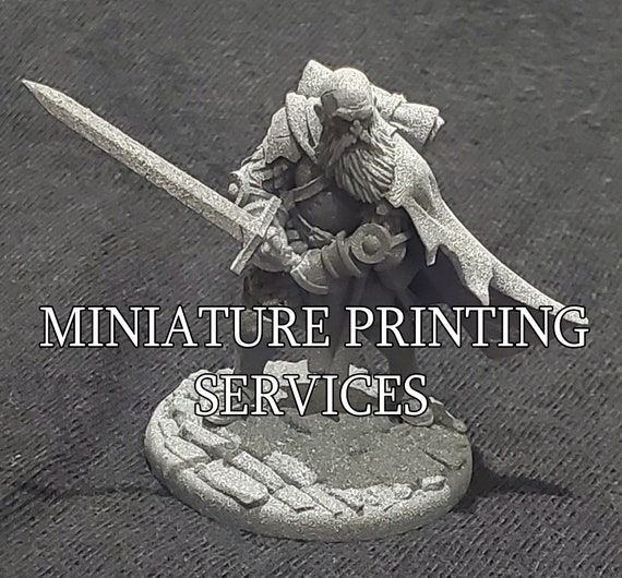 4K Miniature Printing & Priming Services Hero Forge - Etsy