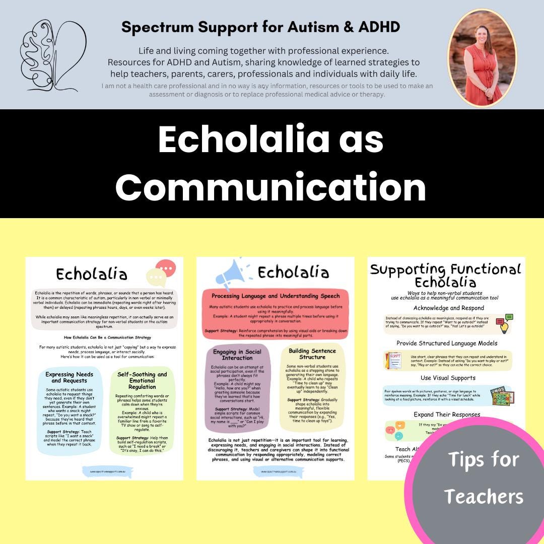 Echolalia Communication Poster: Autism Support, Speech Therapy (digital ...