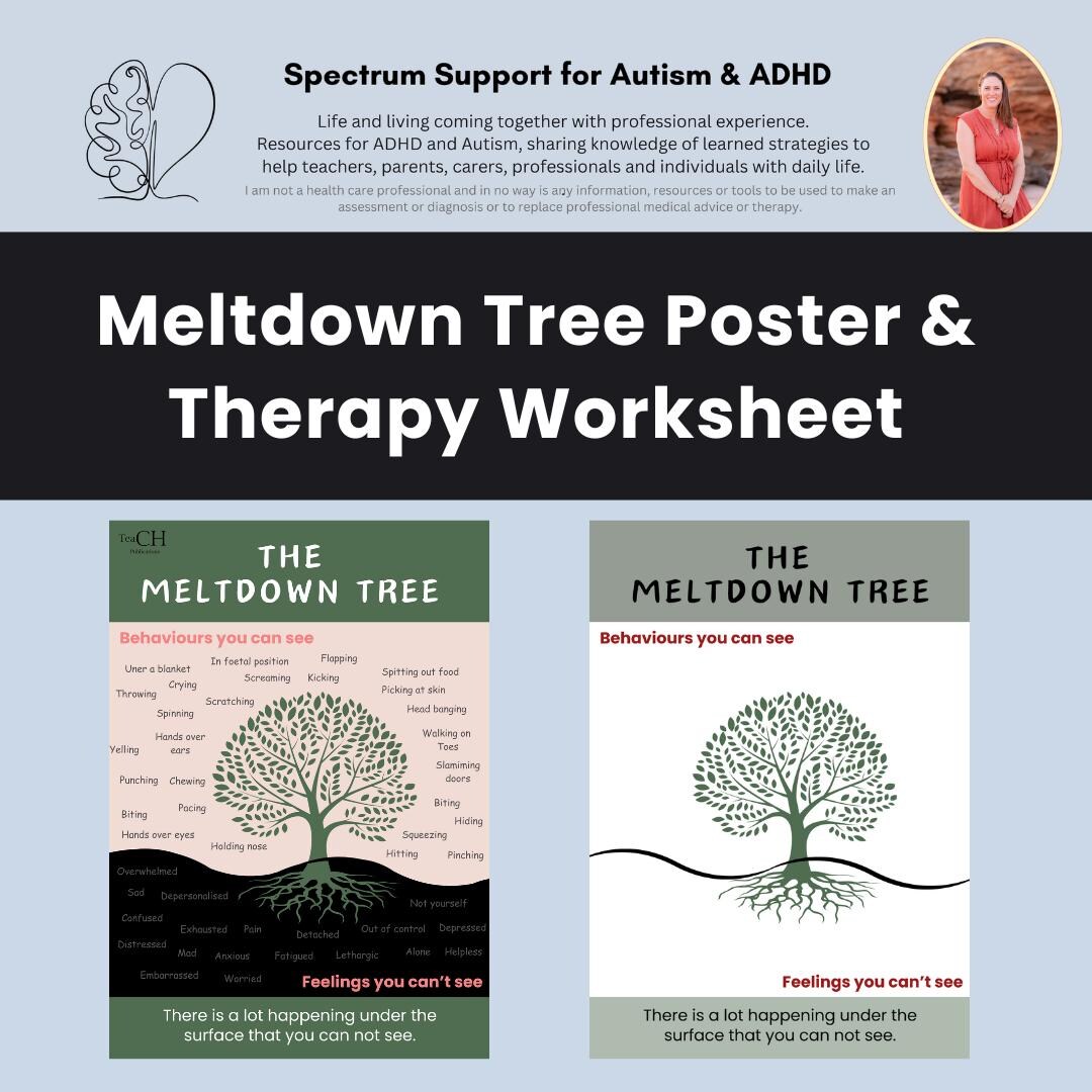 Autism ASD ADHD Meltdown Self Reflection Emotional Regulation Support ...