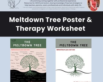 Autism ASD ADHD Meltdown Self Reflection Emotional Regulation Support ...