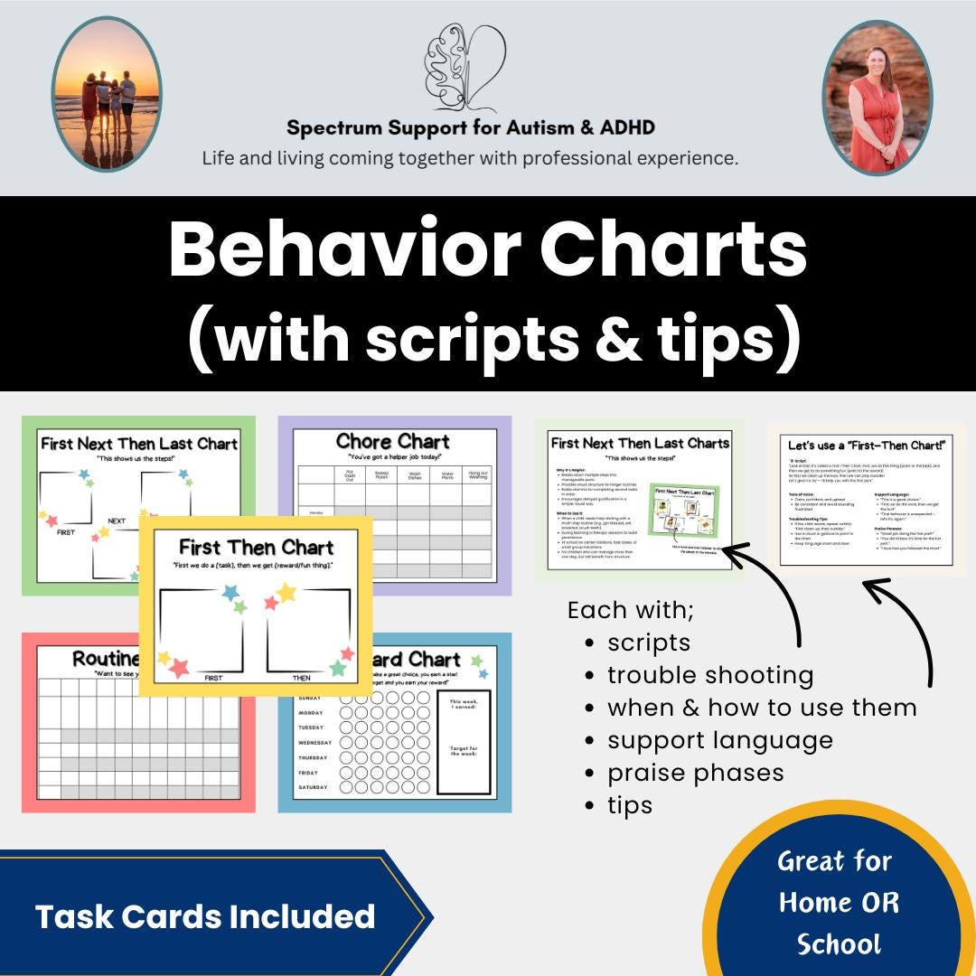 Visual Support Boards Schedule Posters Cue Cards Special Education ...