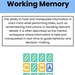 Improve Your Working Memory Strategy Cards - Executive Functioning ...