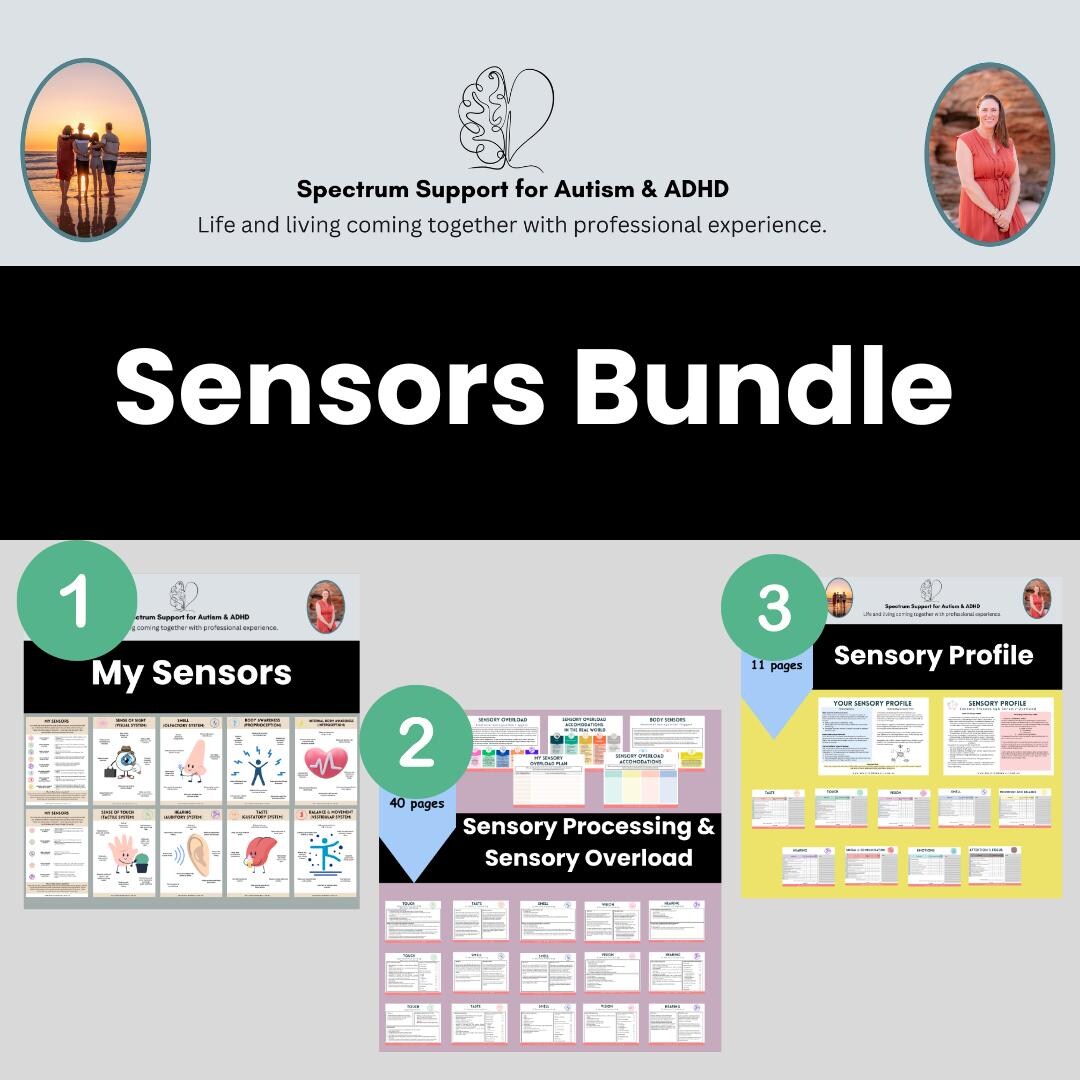 Sensory Bundle Know Your Sensors Understand Processing and Overload ...