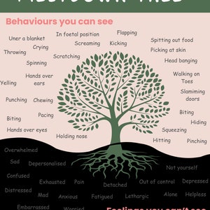 Understanding Meltdown Behaviour Management Autism Awareness Emotional ...