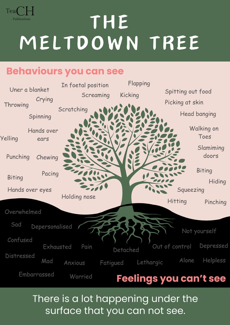 Understanding Meltdown Behaviour Management Autism Awareness Emotional ...