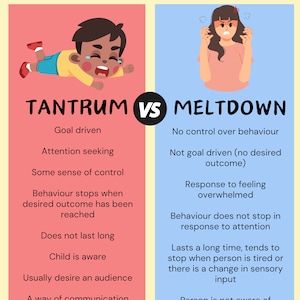 Meltdown Kit Tantrum Poster Emotional Control Early Childhood Teacher ...