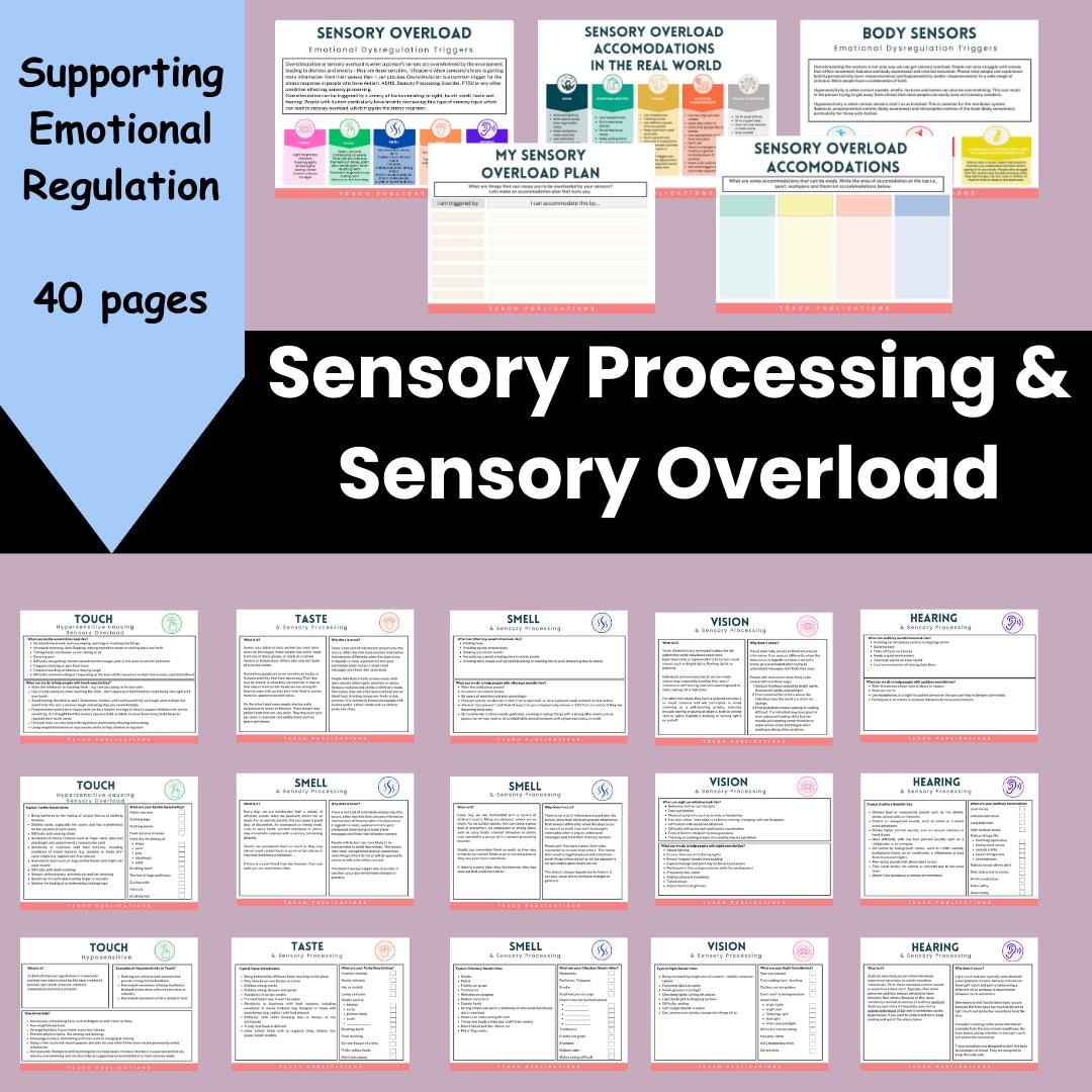 Sensory Processing Overload Detailed Adjustments Sensory Support ADHD ...