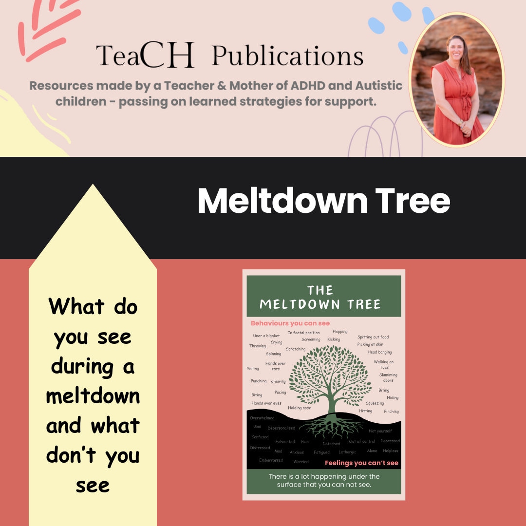 Understanding Meltdown Behaviour Management Autism Awareness Emotional ...