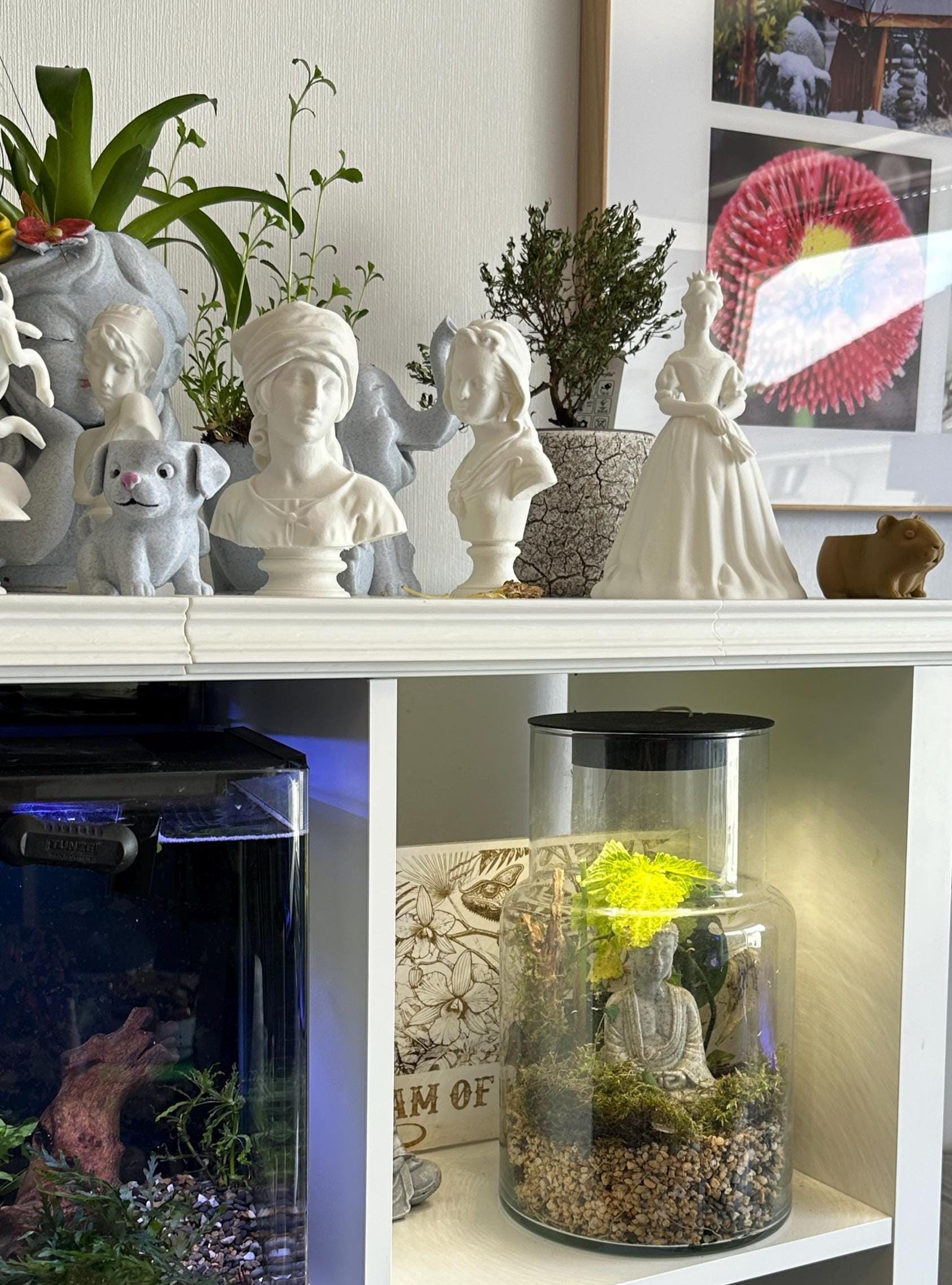 Glass Garden DIY Set Full Spectrum LED Light & Mini Computer Plant ...