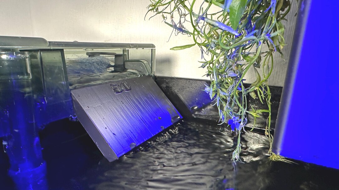 Aquaclear 20 30 50 70 110 / Fluval / Clip-on Filter Baffle - Calm Water ...
