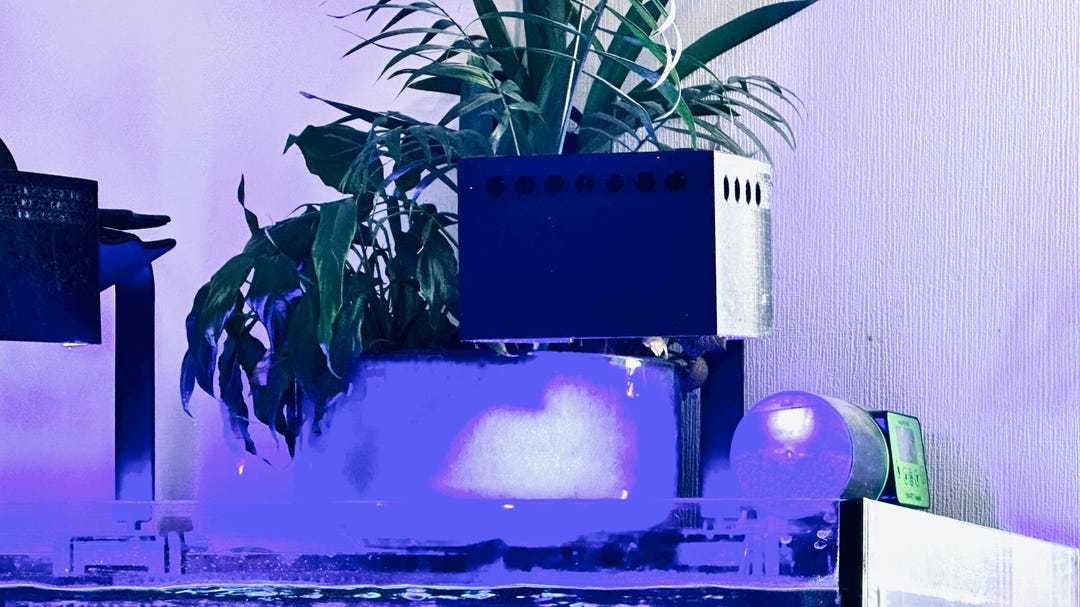 Red Sea LED 50 LED50 Light Shade Light Protection Light Shade Shade Red ...