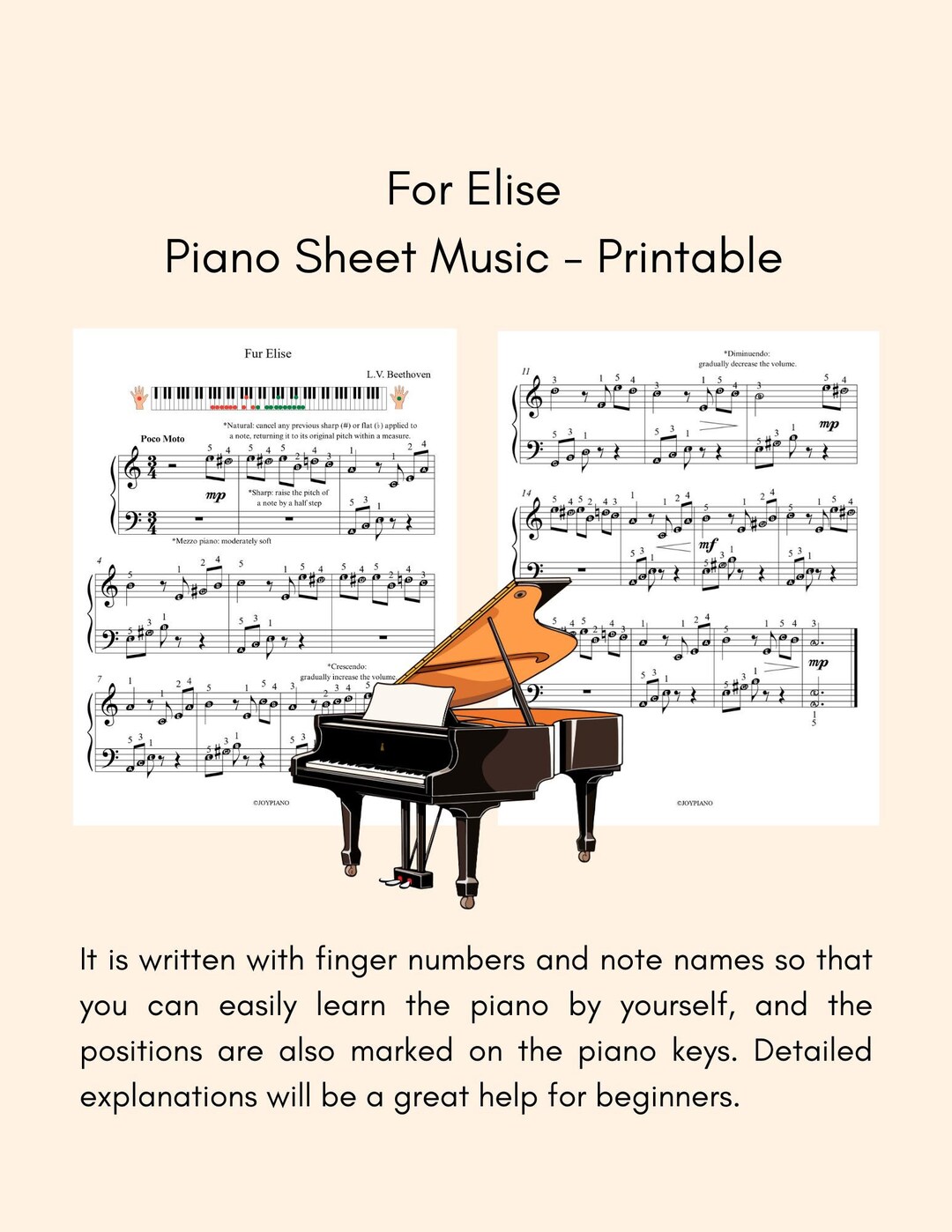 For Elise - Easy Beginner Piano Sheet Music - Letter Names, Finger ...