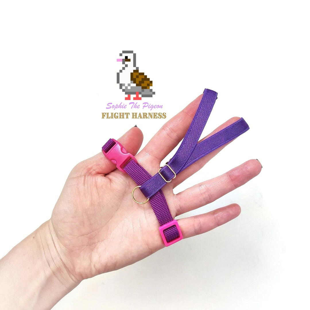 Pigeon Harness "sophie" - Bird Flight Harness With Soft-brake Leash ...