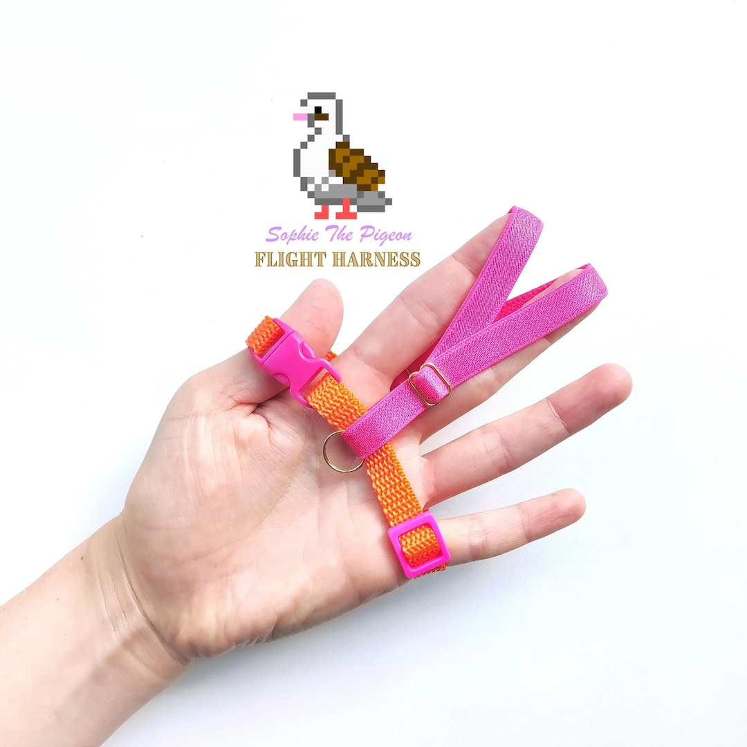 Pigeon Harness "sophie" - Bird Flight Harness With Soft-brake Leash ...