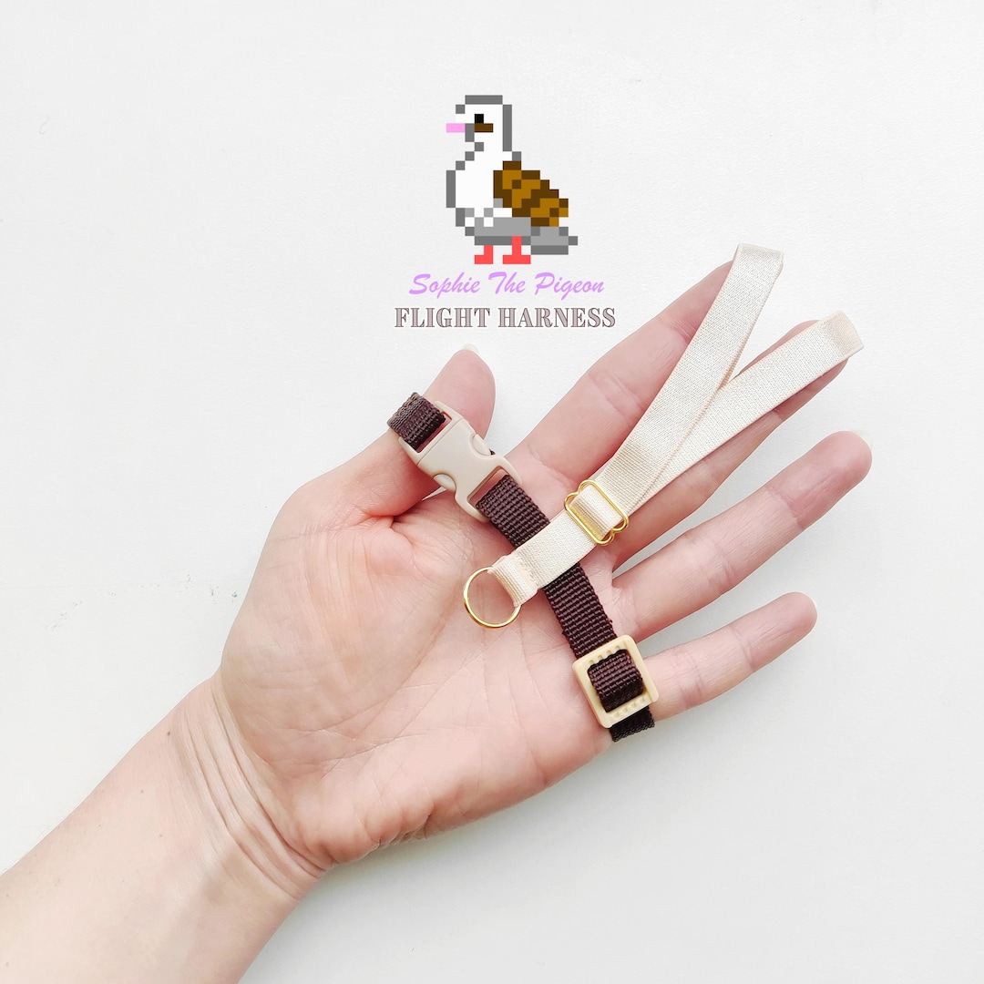 Pigeon Harness "sophie" - Bird Flight Harness With Soft-brake Leash ...