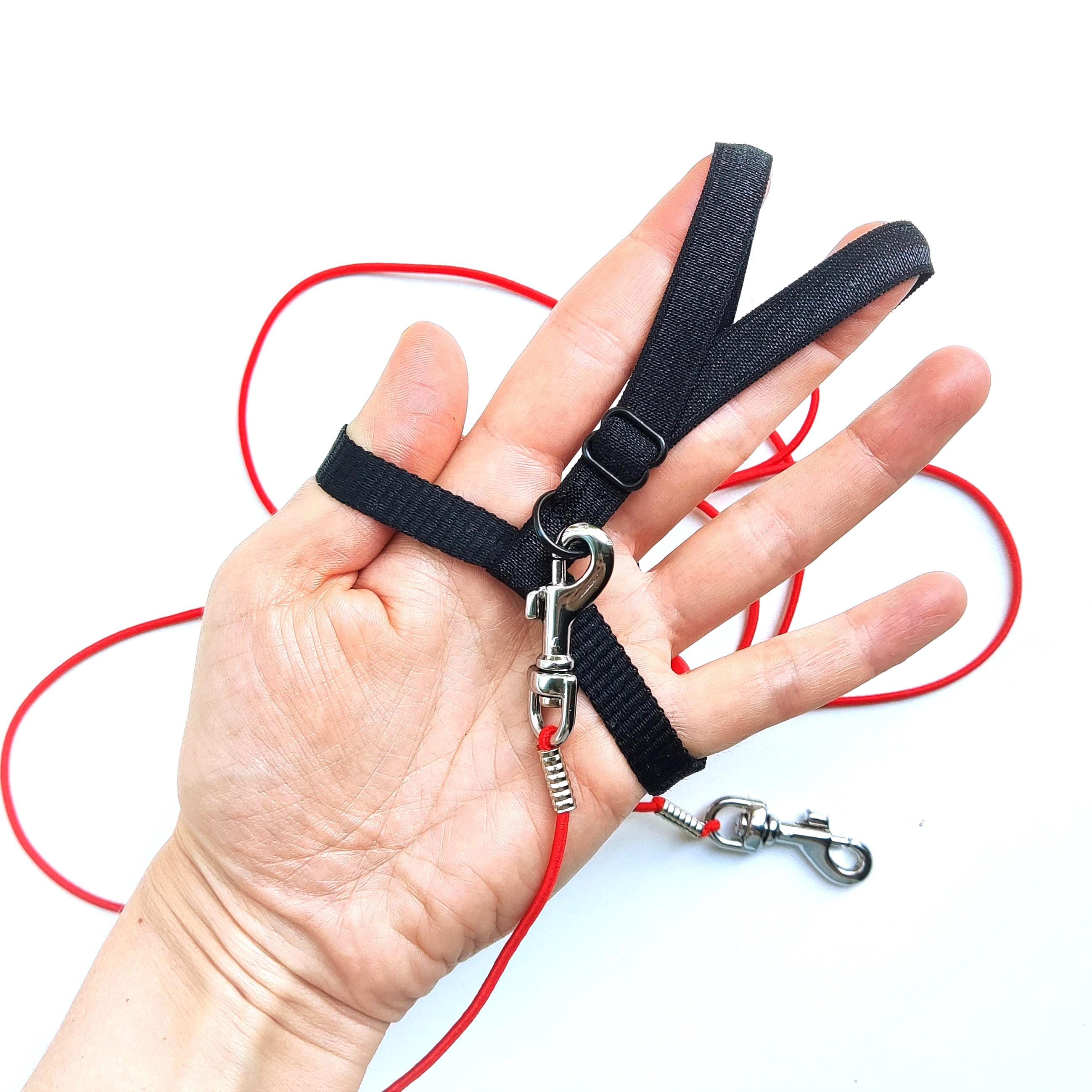 Pigeon Flight Harness With Soft-brake Leash Extender- Classic Black and ...