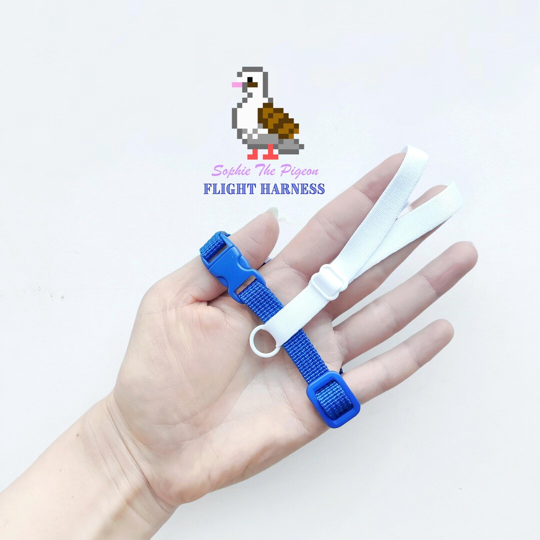 Pigeon Harness "sophie" - Bird Flight Harness With Soft-brake Leash ...