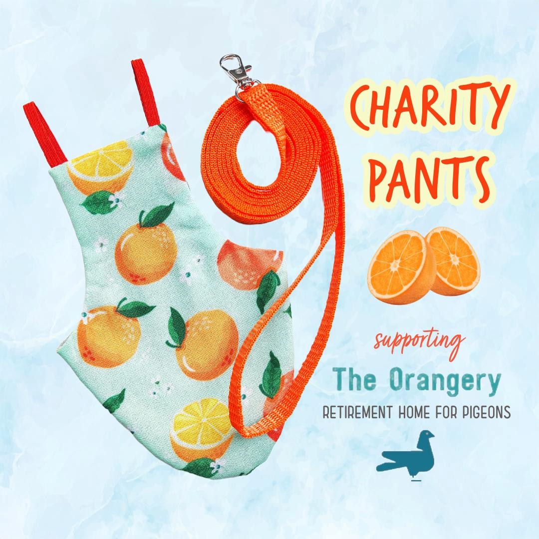 Pigeon Pants Flying Diaper Bird Diaper Flightsuit the Orangery Charity ...