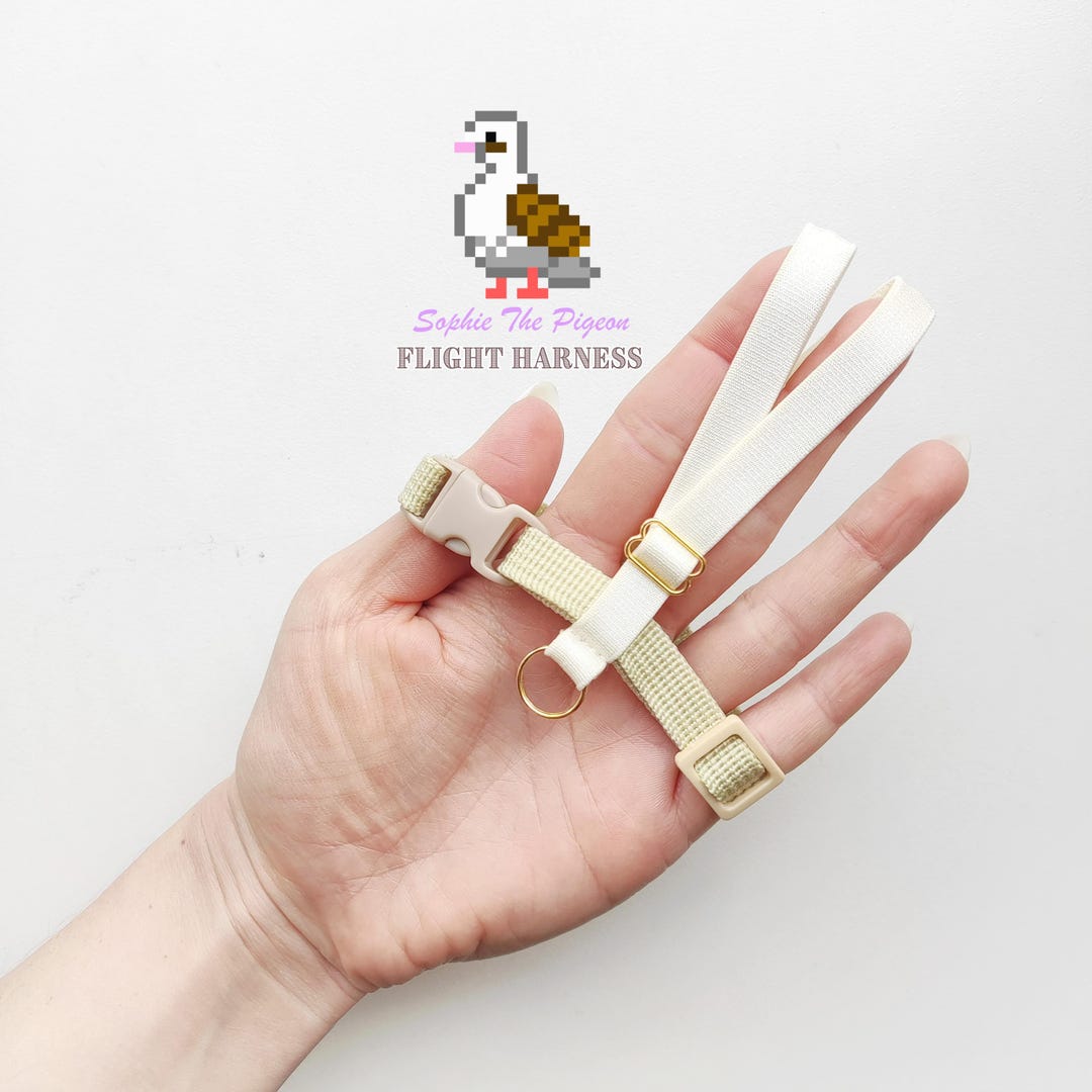 Pigeon Harness "sophie" - Bird Flight Harness With Soft-brake Leash ...