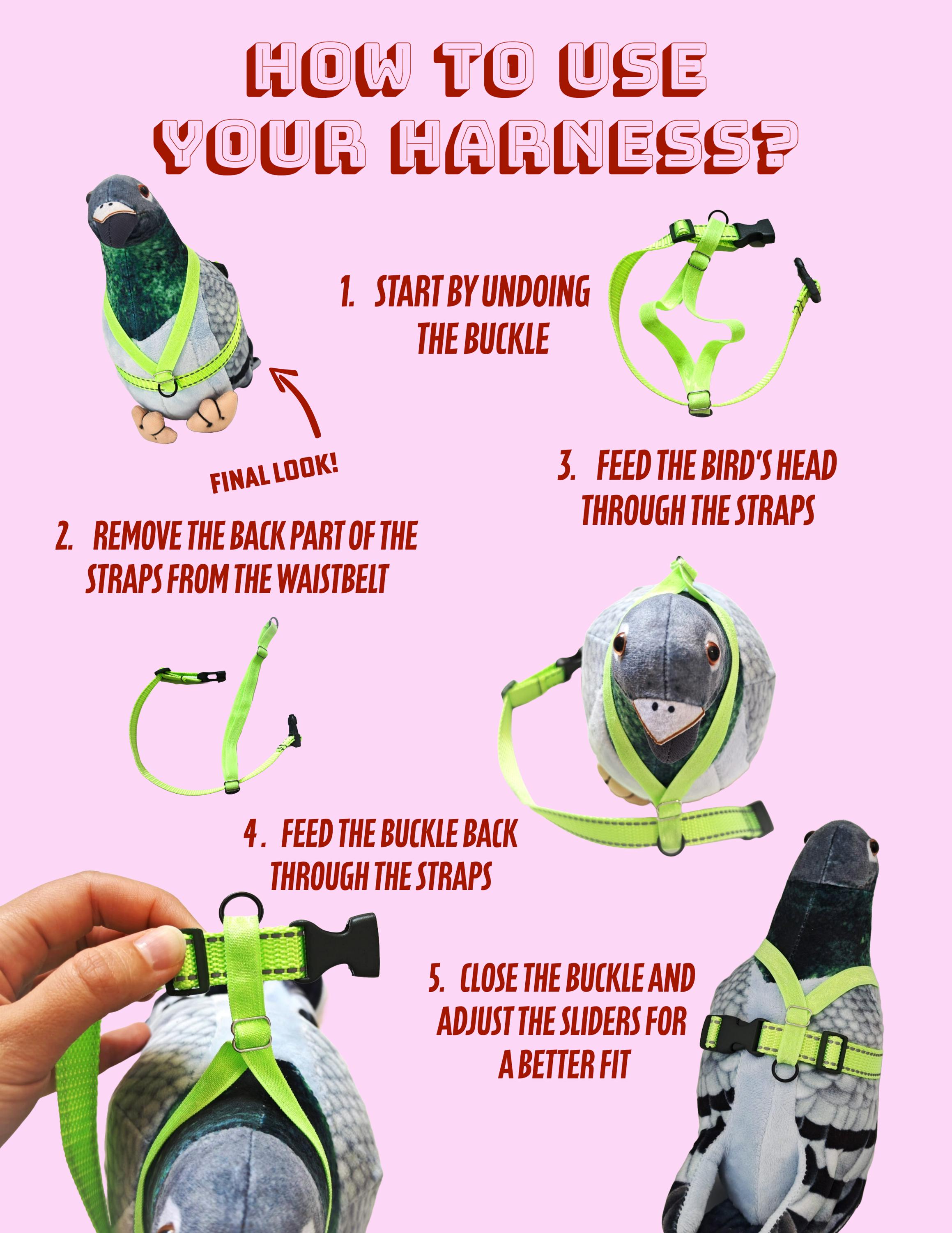 Pigeon Flight Harness With Soft-brake Leash Extender - Pigeon Purple ...