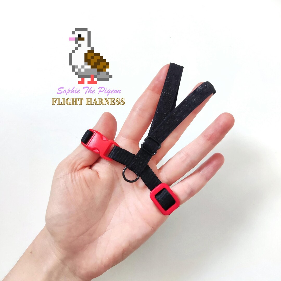 Pigeon Harness "sophie" - Bird Flight Harness With Soft-brake Leash ...