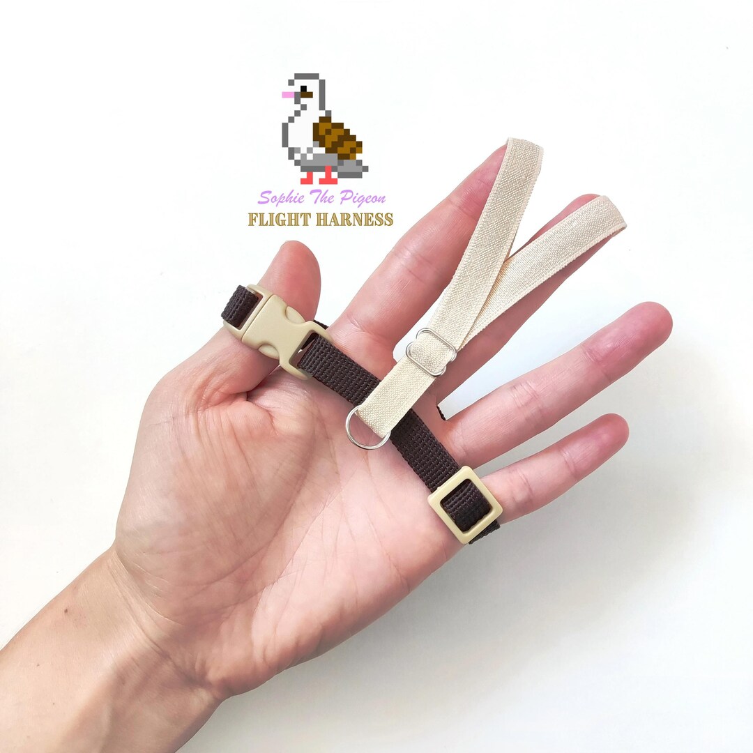 Pigeon Harness "sophie" - Bird Flight Harness With Soft-brake Leash ...