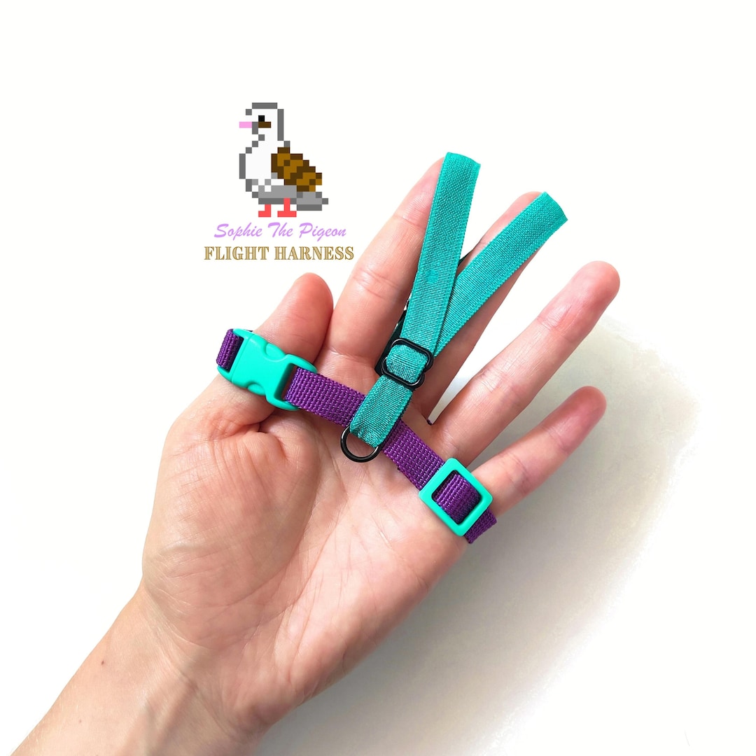 Pigeon Harness "sophie" - Bird Flight Harness With Soft-brake Leash ...