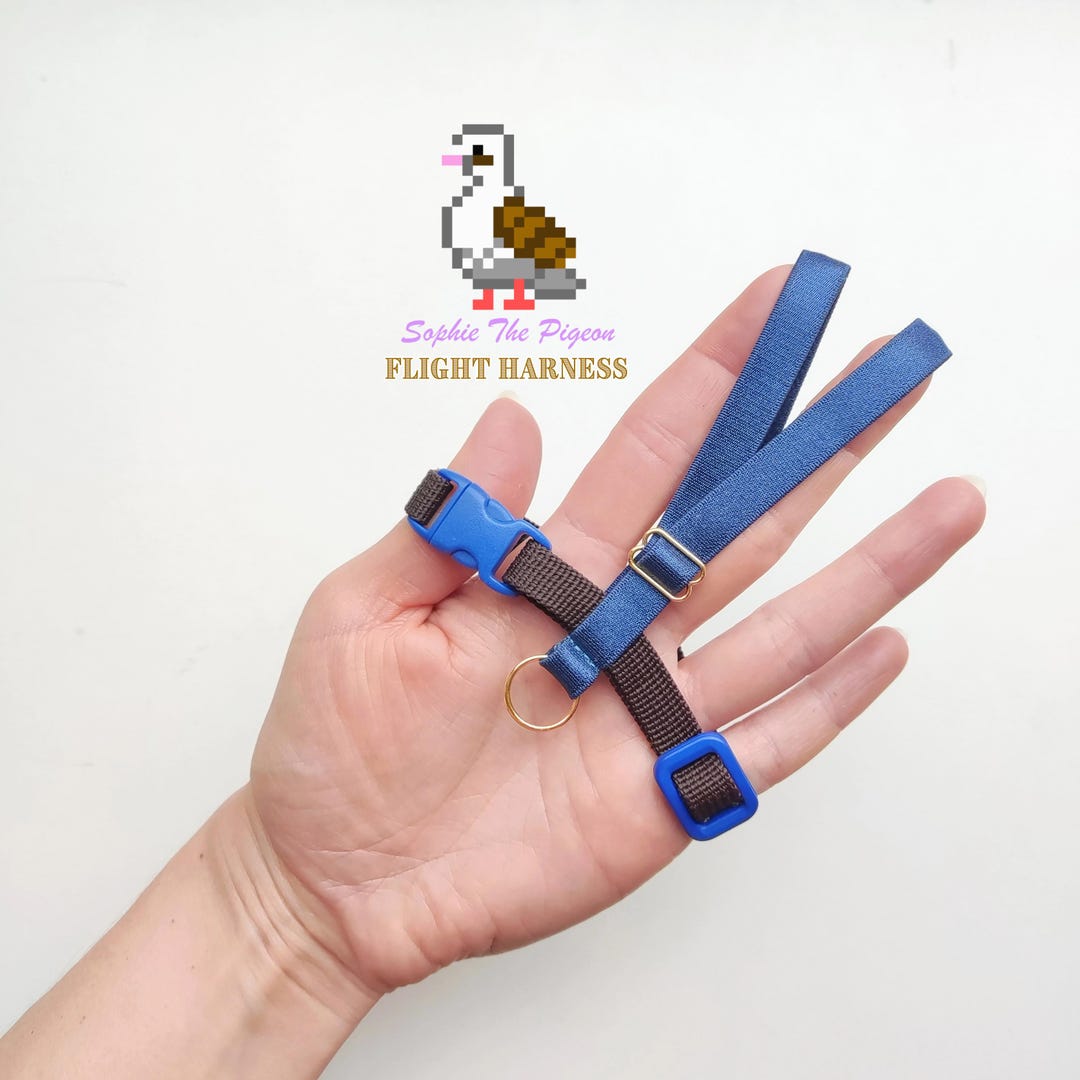 Pigeon Harness "sophie" - Bird Flight Harness With Soft-brake Leash ...